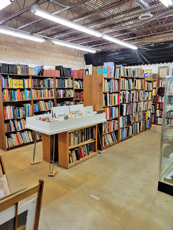 Bookworms, rejoice! This literary labyrinth is where stories of yesteryear come to find new homes and eager readers. Time to get lost in the stacks!