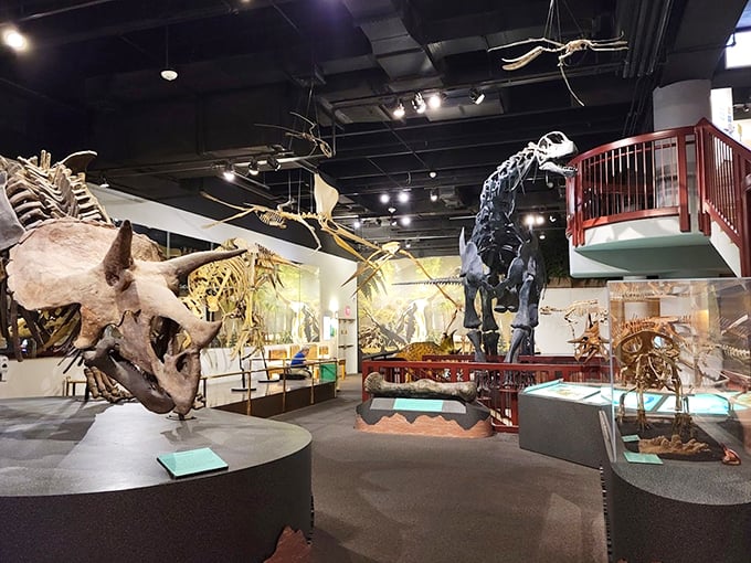 Jurassic Park, eat your heart out! These towering skeletons make you feel like you've stumbled onto a prehistoric movie set.