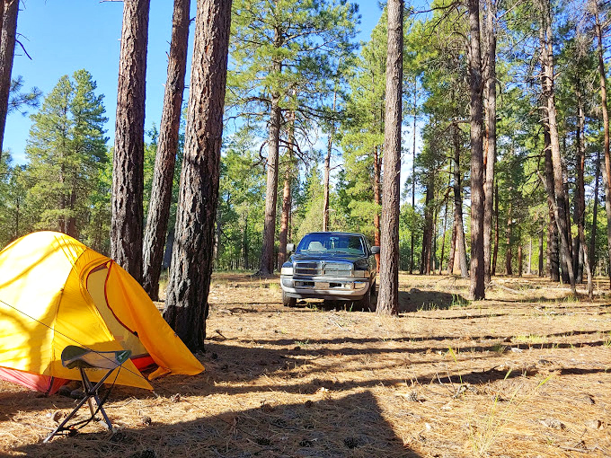 Camping goals: Where your backyard is a forest and your alarm clock is a chirping bird.