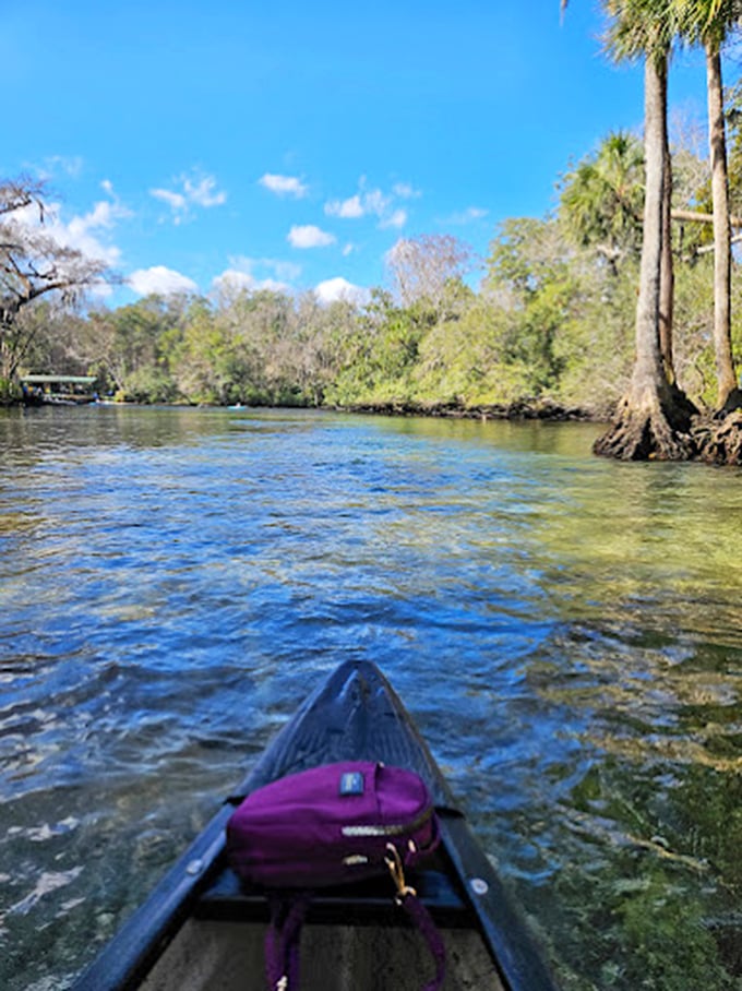 Paddle your way to paradise! This kayaking adventure is like a real-life version of "Finding Nemo," minus the talking fish.
