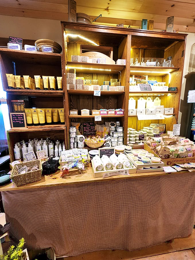 Locally made products galore! It's like a farmers market had a love child with a gourmet food shop. Your taste buds are in for a wild ride.