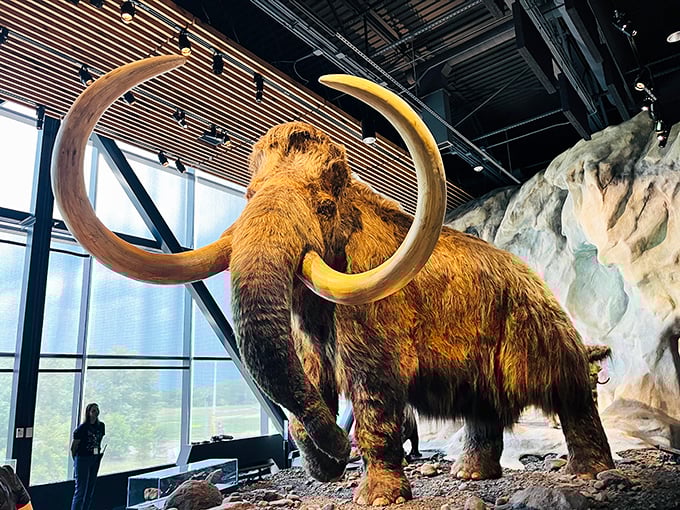 Ice Age meets space age! This woolly mammoth's imposing presence reminds us that Earth's history is just as awe-inspiring as the cosmos.