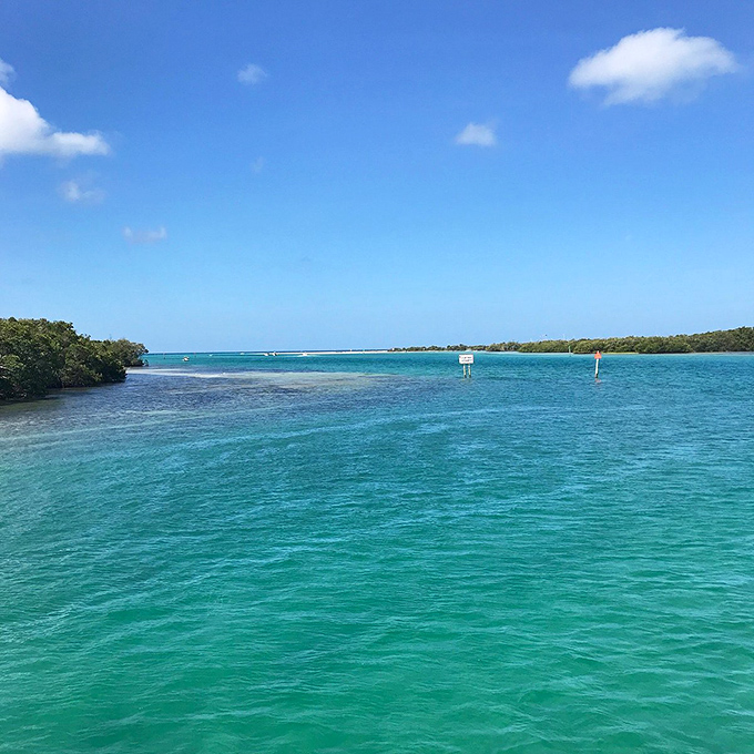 Nature's watercolor: Turquoise waters blend with emerald mangroves, creating a scene so beautiful it could make Bob Ross jealous. Time to channel your inner artist!