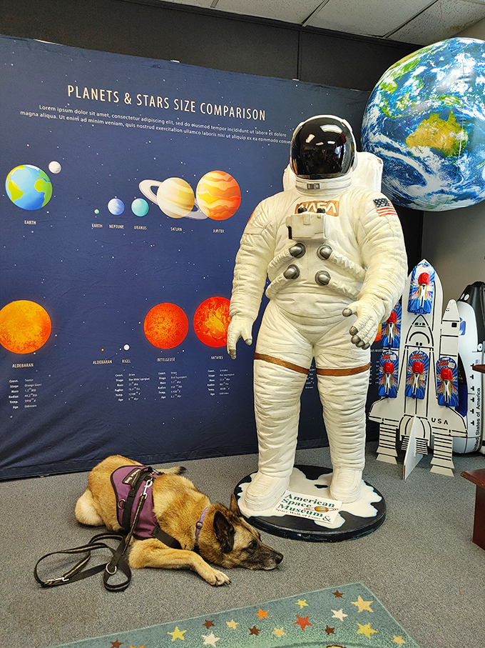 One small step for man, one giant leap for your imagination. This space suit display brings the moon landing to life.