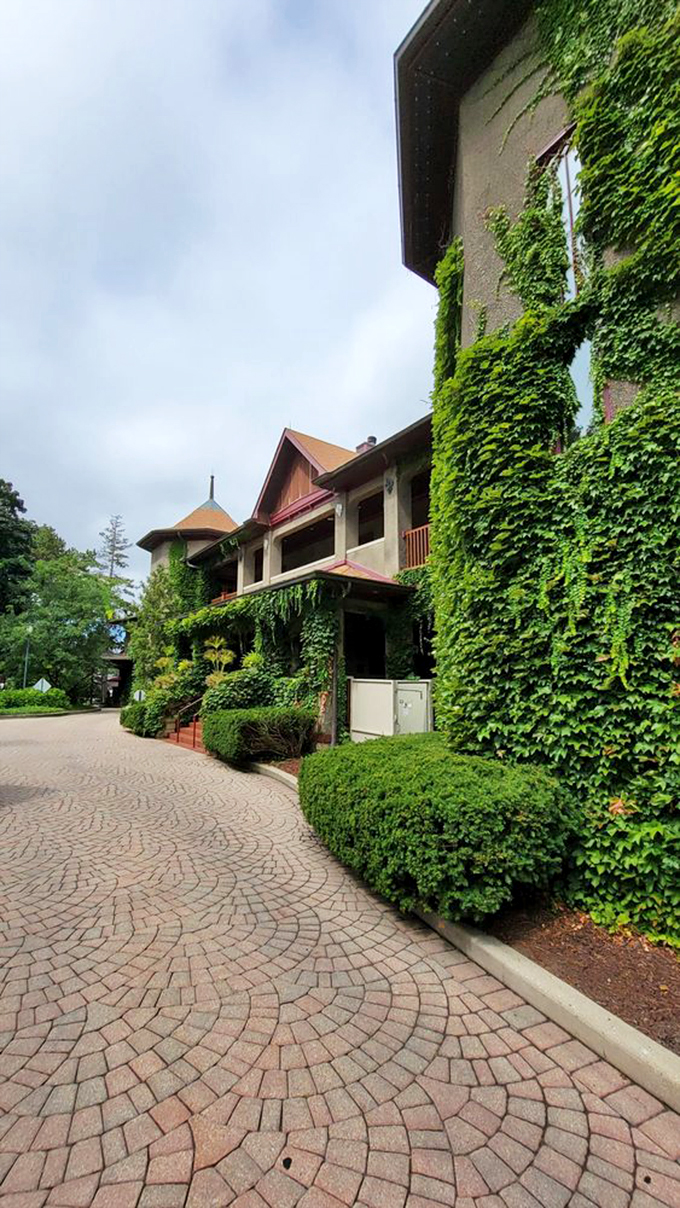 Mother Nature's green thumb meets architectural elegance. Lynfred's ivy-covered walls could give Boston's Fenway Park a run for its money.