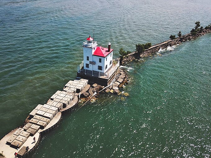 "Bird's eye view or lighthouse's eye view? Either way, this aerial shot makes me want to spread my wings and soar!"