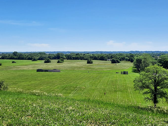 Talk about a bird's eye view! From up here, you can almost hear the whispers of ancient city planners discussing their 'mound-breaking' ideas.