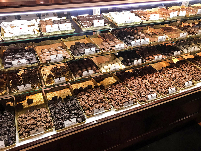 Chocolate heaven, served by the tray! This display case is like a treasure chest for your taste buds, each morsel a potential new obsession.