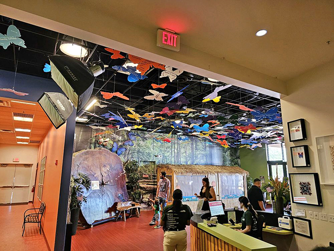 Step into a world where butterflies reign supreme. It's like walking through nature's most fabulous fashion show.