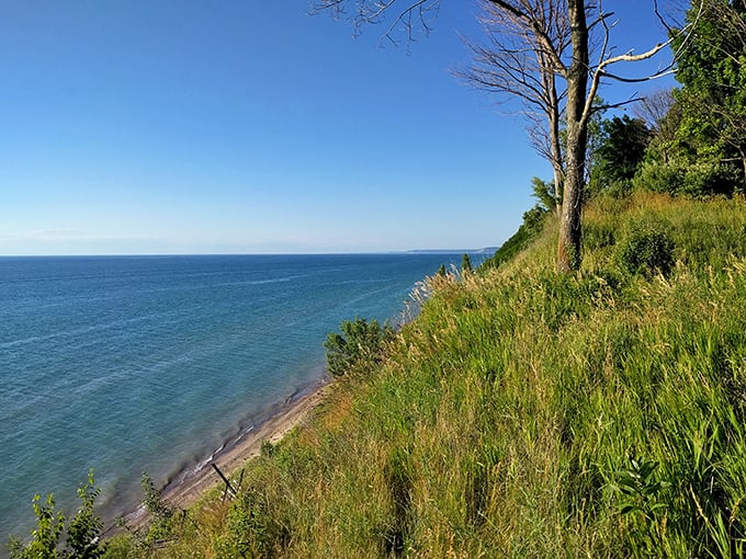 Shhh... it's our little secret. This hidden beach is like finding the last cookie in the jar &ndash; pure, unexpected joy.