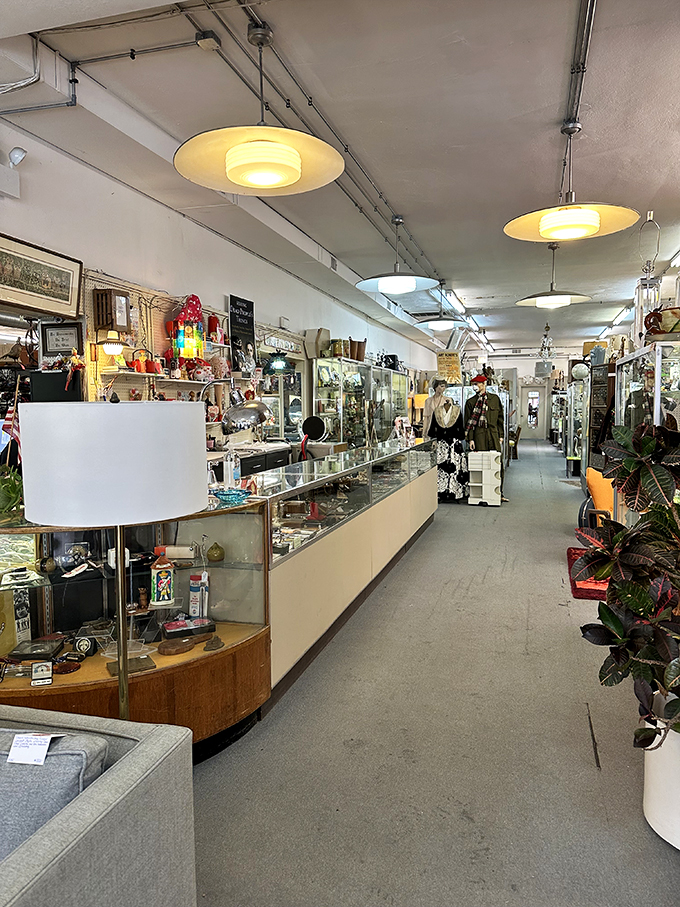 Treasure hunters, unite! This aisle is your yellow brick road to vintage nirvana. Just watch out for the Wicked Witch of Buyer's Remorse!