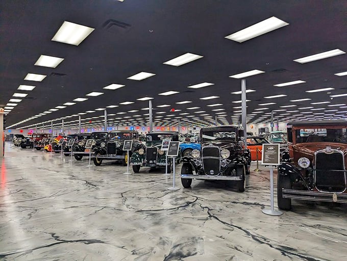 Rows of gleaming nostalgia: It's like someone bottled the essence of every classic car show and poured it into one magnificent space.