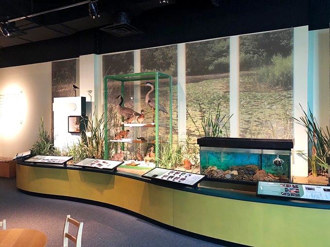 Nature's greatest hits album, now playing! This exhibit brings the outdoors in, minus the mosquitoes and sunburn.