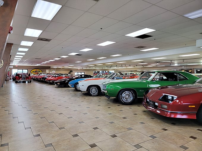 Feast your eyes on this automotive buffet! From muscle cars to elegant cruisers, there's enough eye candy here to satisfy any car lover's sweet tooth.