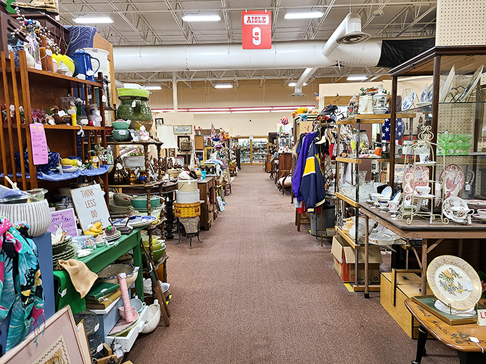 Aladdin's cave, eat your heart out! This labyrinth of curiosities is where your inner collector comes alive and your wallet trembles with excitement.