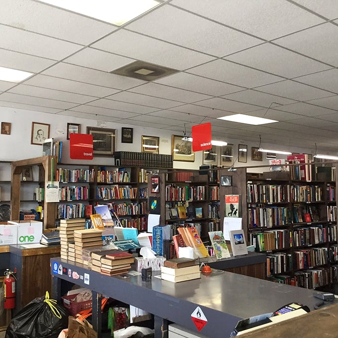 Behold, the Tetris of tomes! Shelves upon shelves create a labyrinth of literary treasures waiting to be discovered.