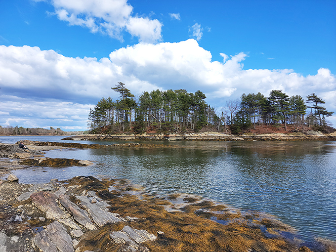Island hopping, Maine-style: Where every view is a postcard and every breeze tells a story.