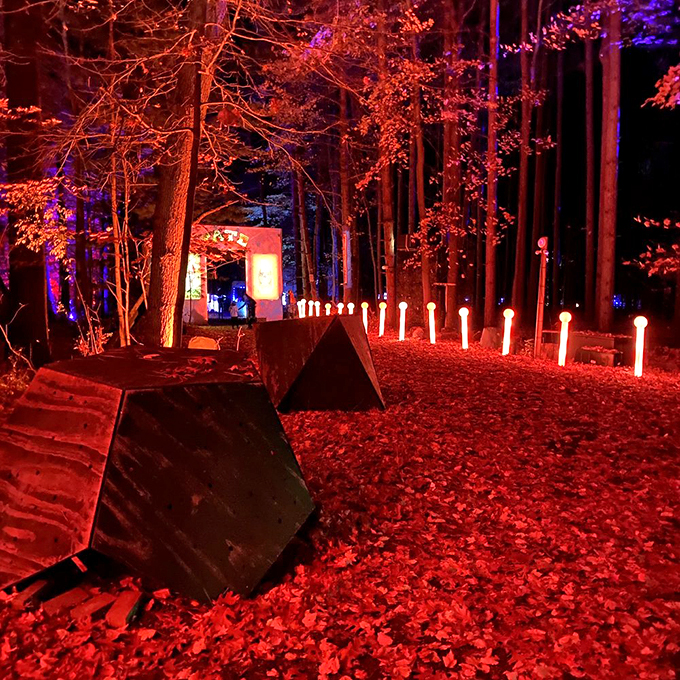 Red light, green light? More like every color light! This path looks like a rainbow decided to take a nap in the woods.