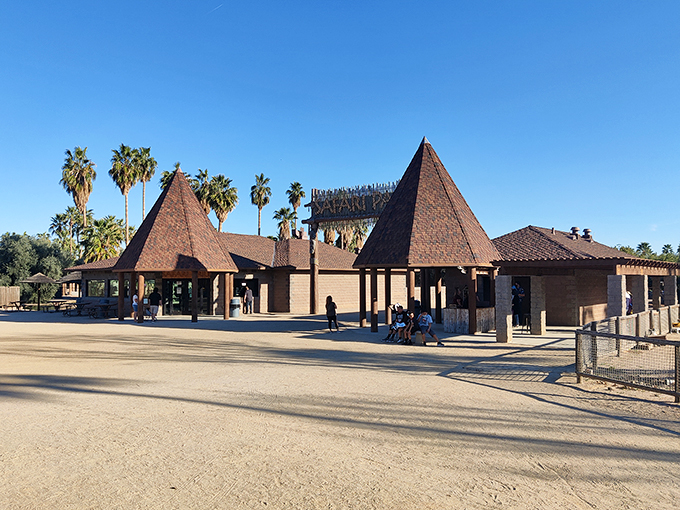 Who ordered the Sahara with a side of palm trees? This safari park brings Africa to the Arizona desert.
