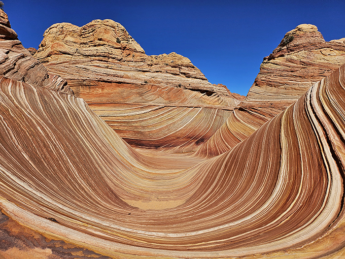 Surf's up... in the desert? The Wave's swirling patterns make you wonder if Mother Nature moonlights as an abstract artist in her spare time.