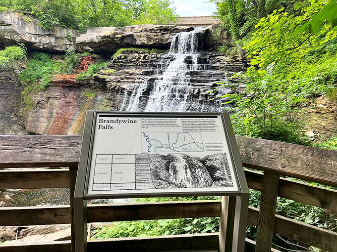 Who needs a museum when you've got this view? The information board offers a crash course in geology, with Mother Nature as the star professor.