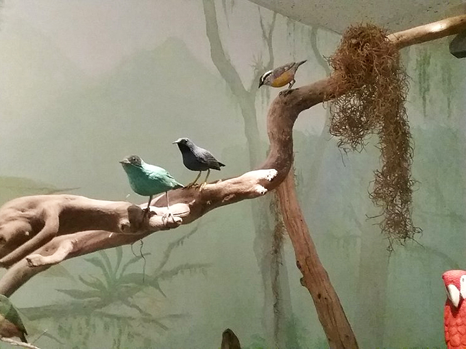 These wooden birds perch with such lifelike grace, you might catch yourself whispering to avoid disturbing their eternal conversation.