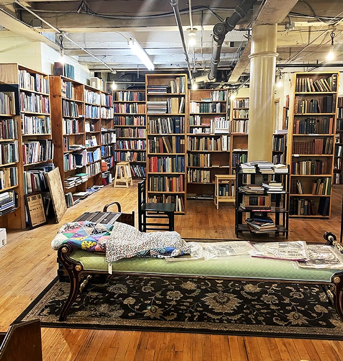 Bookworms, prepare to metamorphose into book dragons! This literary lair could give the Library of Alexandria a run for its money.
