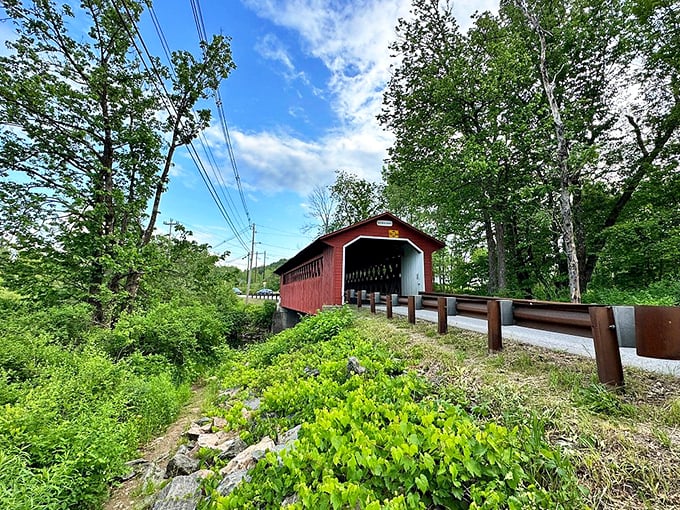 Mother Nature's showing off again! The bridge's rustic charm perfectly complements the lush greenery and clear blue skies.