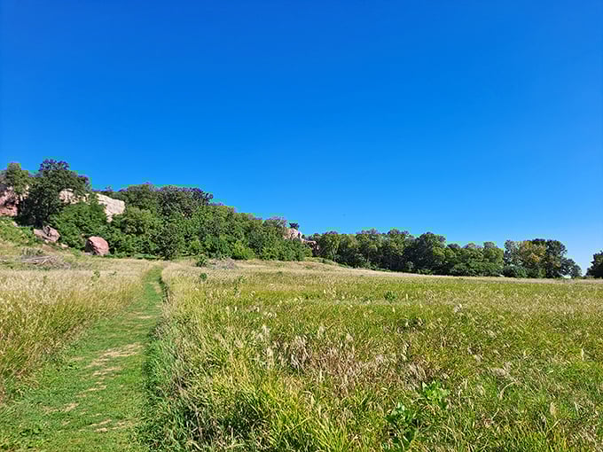 Prairie, oh prairie, where the grass is always greener&hellip; especially when you're not the one mowing it. A sea of serenity awaits at Blue Mounds.
