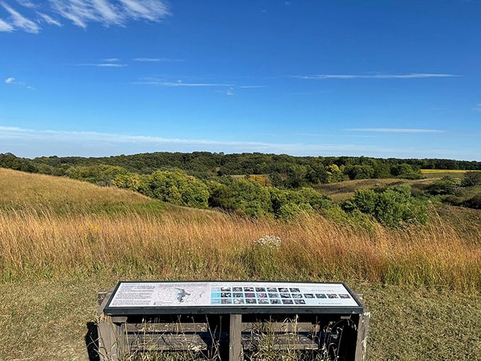 Nature's own Wikipedia page! This informational sign is like a cheat sheet for your outdoor adventure, minus the risk of paper cuts.