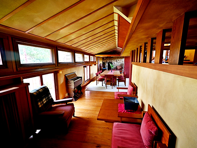 Welcome to the coziest TED talk venue ever. Taliesin's interior feels like Mother Nature decided to get her degree in interior design.