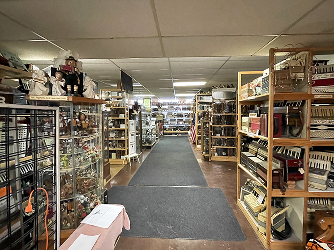 Imagine walking through the musical equivalent of Willy Wonka's factory. Every aisle is a new discovery, every shelf a potential polka party!