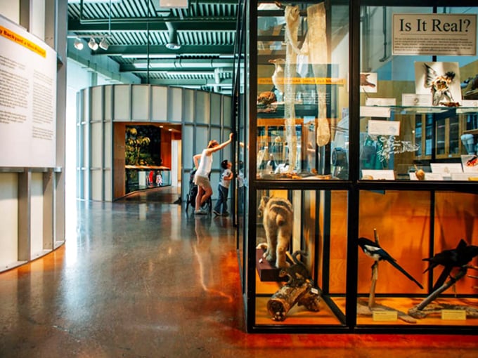 Curiosity takes flight! This vibrant interior showcases nature's wonders, making you feel like Indiana Jones in a jungle of knowledge. Who knew learning could be this exciting?