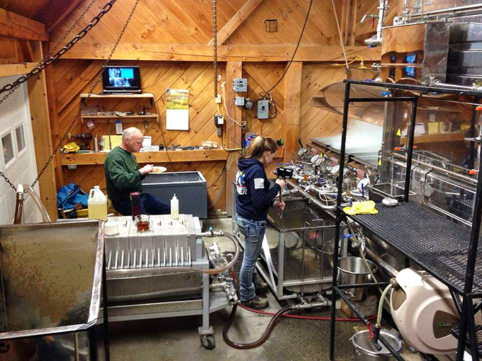 Maple magic in action! It's like Willy Wonka's factory, but instead of chocolate rivers, we've got streams of liquid gold.