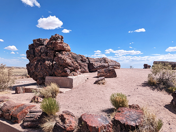 Who needs Stonehenge? These petrified giants are nature's own outdoor sculpture garden. Just don't try to take one home as a souvenir!