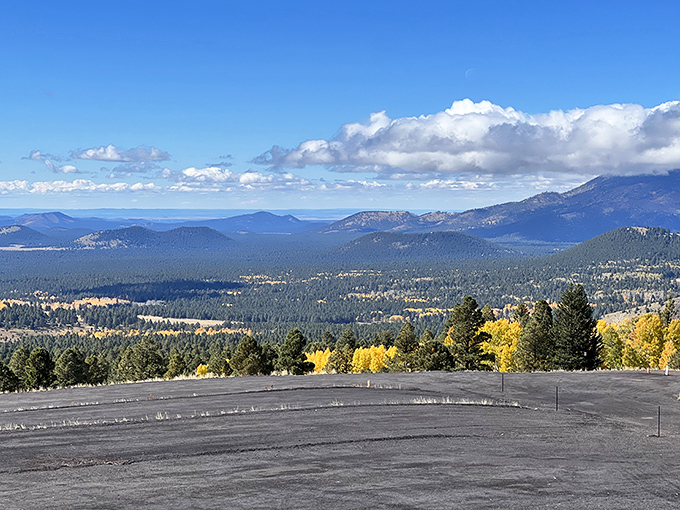 Mother Nature's IMAX: Snowbowl's panoramic views stretch farther than your grandmother's tales at Thanksgiving dinner. A feast for the eyes that'll leave you hungry for more.