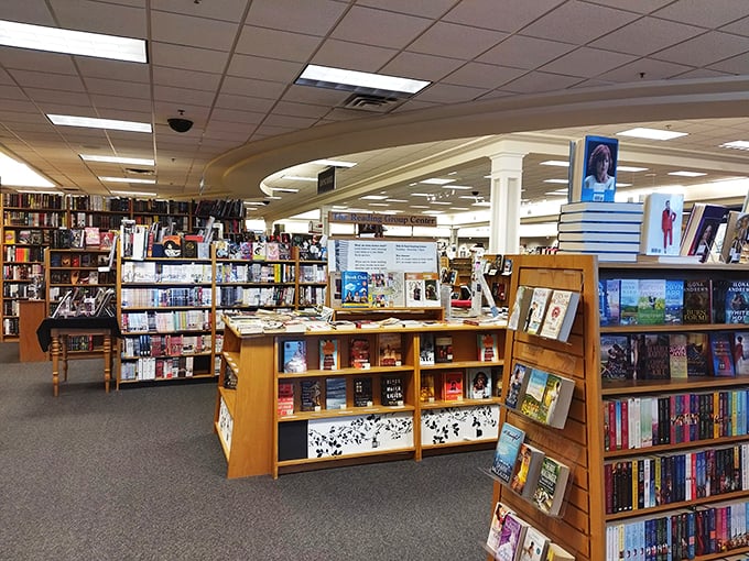 A bibliophile's paradise: shelves upon shelves of literary treasures waiting to be discovered.