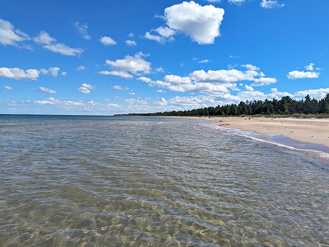 Crystal-clear waters meet golden sands in a scene straight out of a Caribbean postcard. Who needs palm trees when you've got majestic pines?