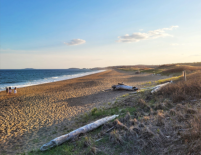 Sand, sea, and serenity – the holy trinity of beach bliss. This shoreline is Mother Nature's masterpiece in progress.