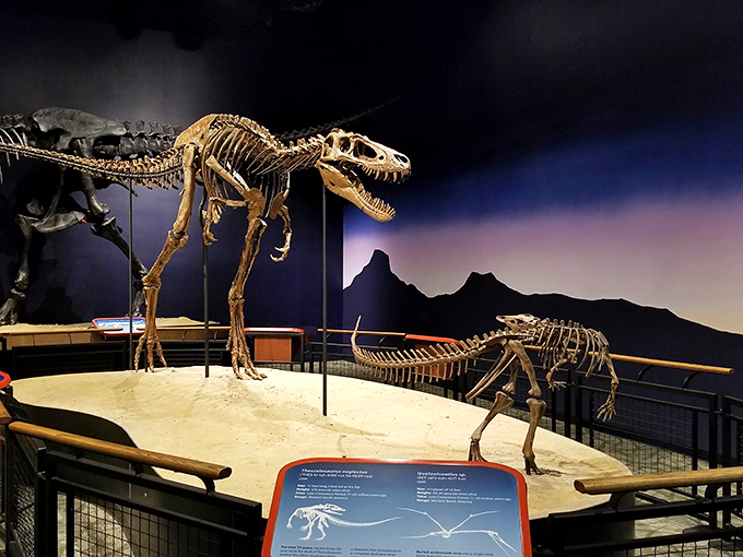 "Meet Jane, the teenage T. rex sensation!" She's 66 million years young and has better posture than most of us. Take that, millennials and their standing desks!