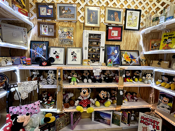 Mickey Mouse meets memory lane! This Disney-filled corner is enough to make any grown adult squeal with childlike glee. Who's ready for a nostalgia overload?