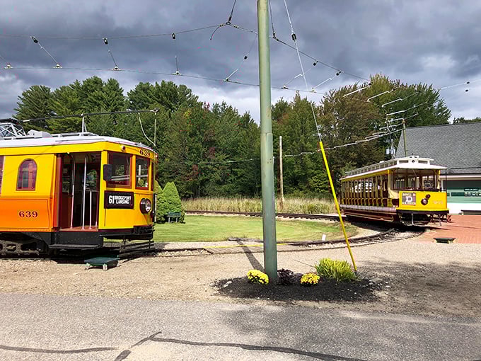 Yellow and white and charming all over! These trolleys are the Odd Couple of public transportation - one's a sunny extrovert, the other a classy introvert.