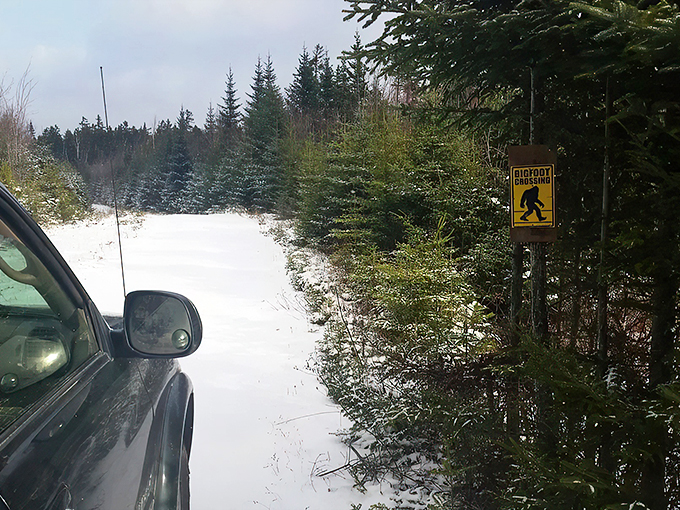 Sasquatch sightings ahead! This sign warns drivers of Maine's hairiest pedestrians.