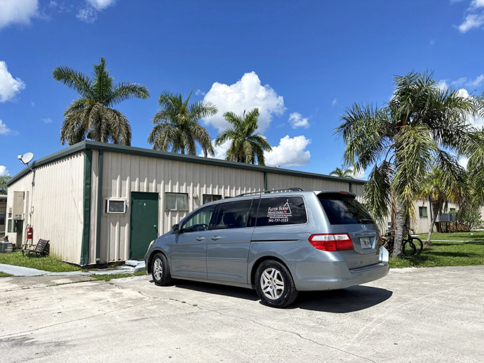 Step into a whimsical world where fantasy meets thrift. It's like Hogwarts, but with more affordable robes.