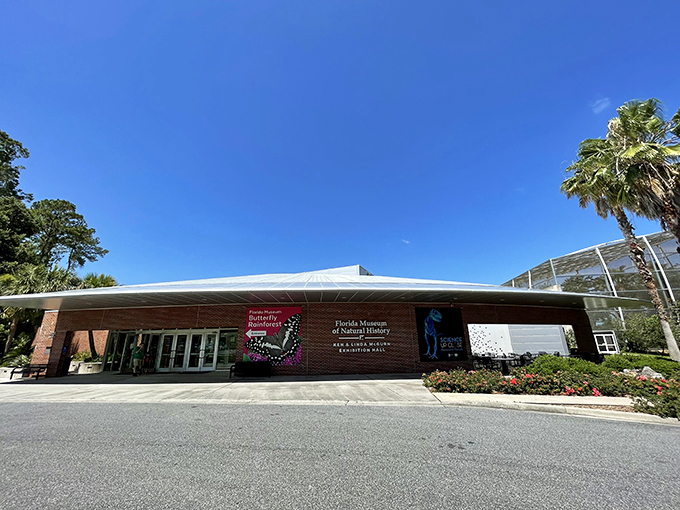 Fossils and flora galore! This natural history hotspot is like a time capsule of Florida's wild past.
