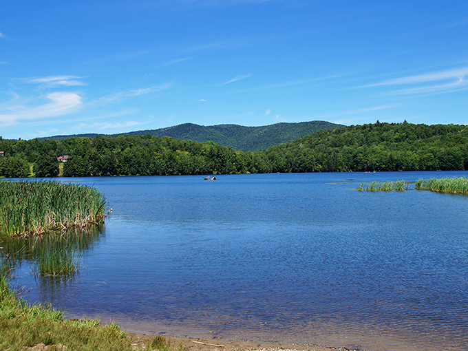 Where the wild things are&hellip; and play volleyball! This clearing is nature's perfect playground, complete with net.