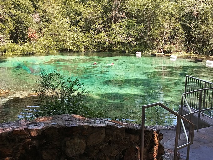 Take the scenic route... underwater! Ichetucknee Springs offers a road trip for your inner mermaid.