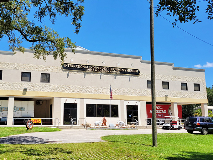 Roll up, roll up! This carnival of curiosities is like your childhood memories, but with more neon and fewer safety regulations.