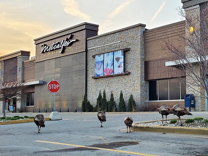 Where hipsters and soccer moms unite! Metcalfe's is like Whole Foods' cool Wisconsin cousin, with extra cheese.