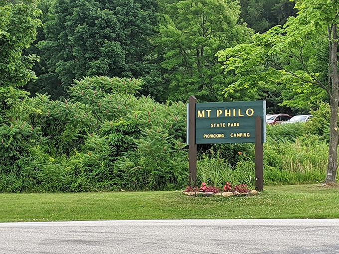 Elevate your road trip: A quick ascent to breathtaking views that'll make your car jealous.